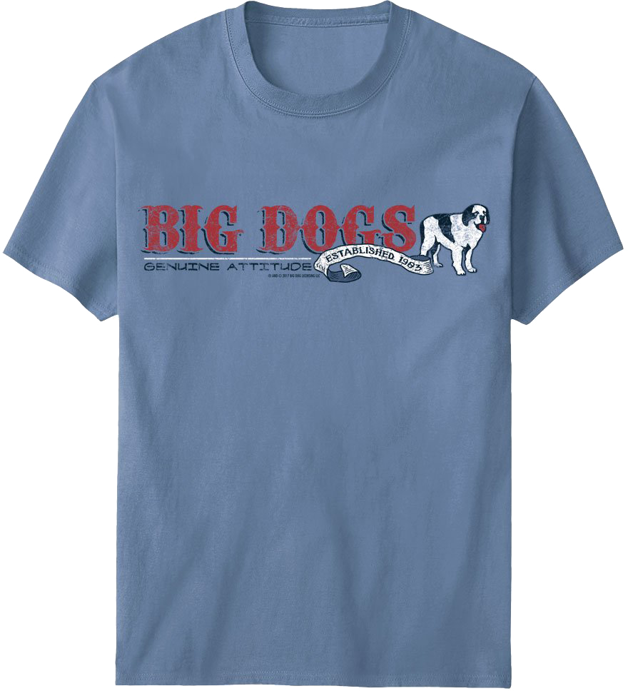 Attitude Stripe T-Shirt – Big Dogs