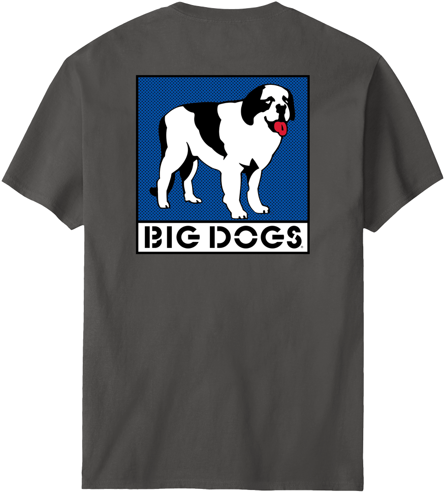 Box Logo T-Shirt – Big Dogs