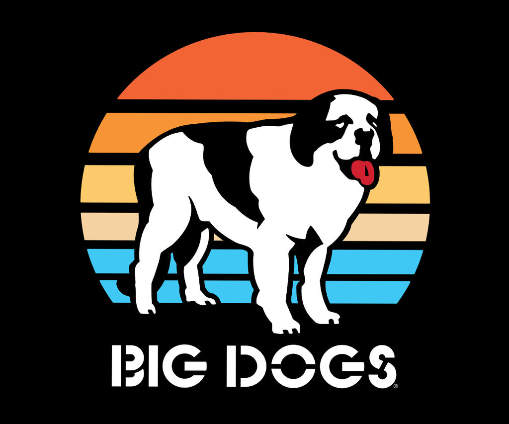 Logo Sunset T-shirt – Big Dogs